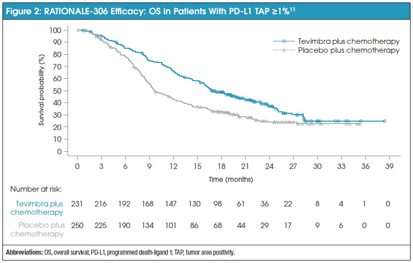 Tislelizumab-jsgr: An Evolving Treatment for Esophageal Squamous Cell ...